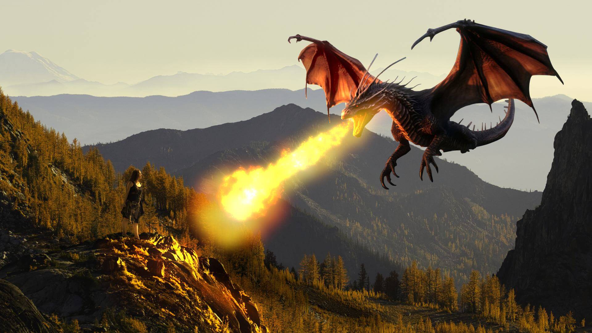 Featured Member: Rakesh Malik – Vancouver Post Alliance